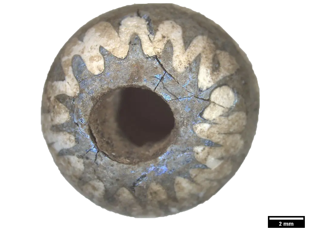 PP-nGLASS – An interdisciplinary study of the impact of the Phoenician ...
